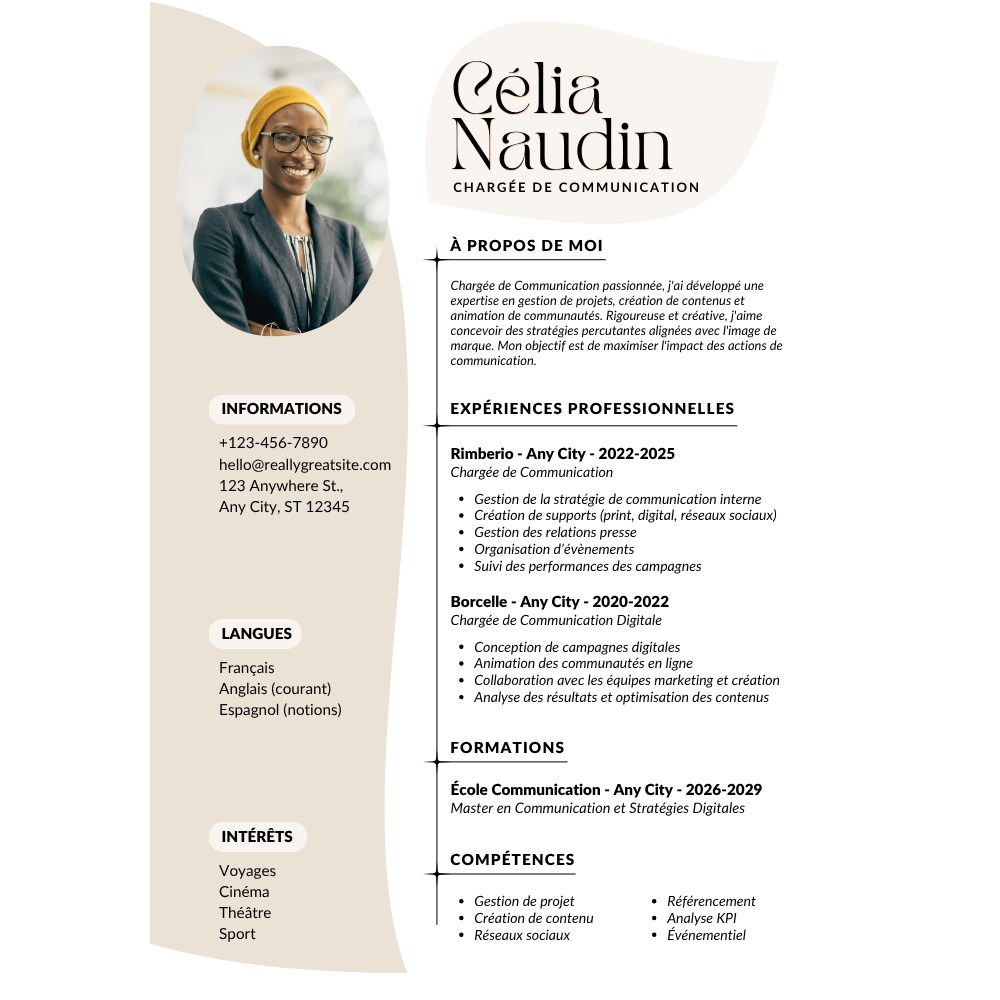 Professional CV Template FE – BONEDIESH